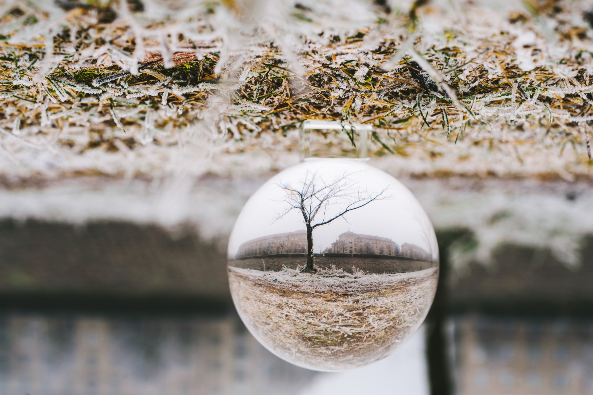 Glass Ball Project | Photographer Andrius Aleksandravičius